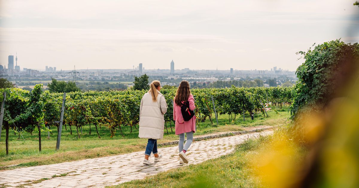 Sustainability & Green Meetings in Vienna - meeting.vienna.info